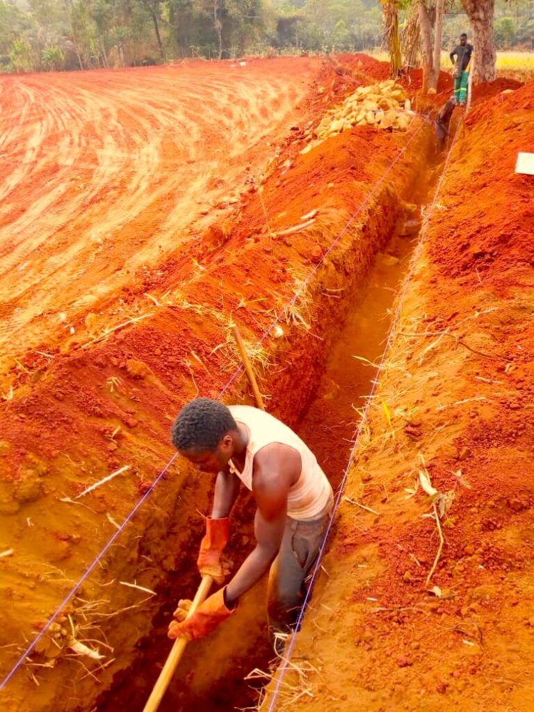 Our Progress and Impact – Kids In Cleats